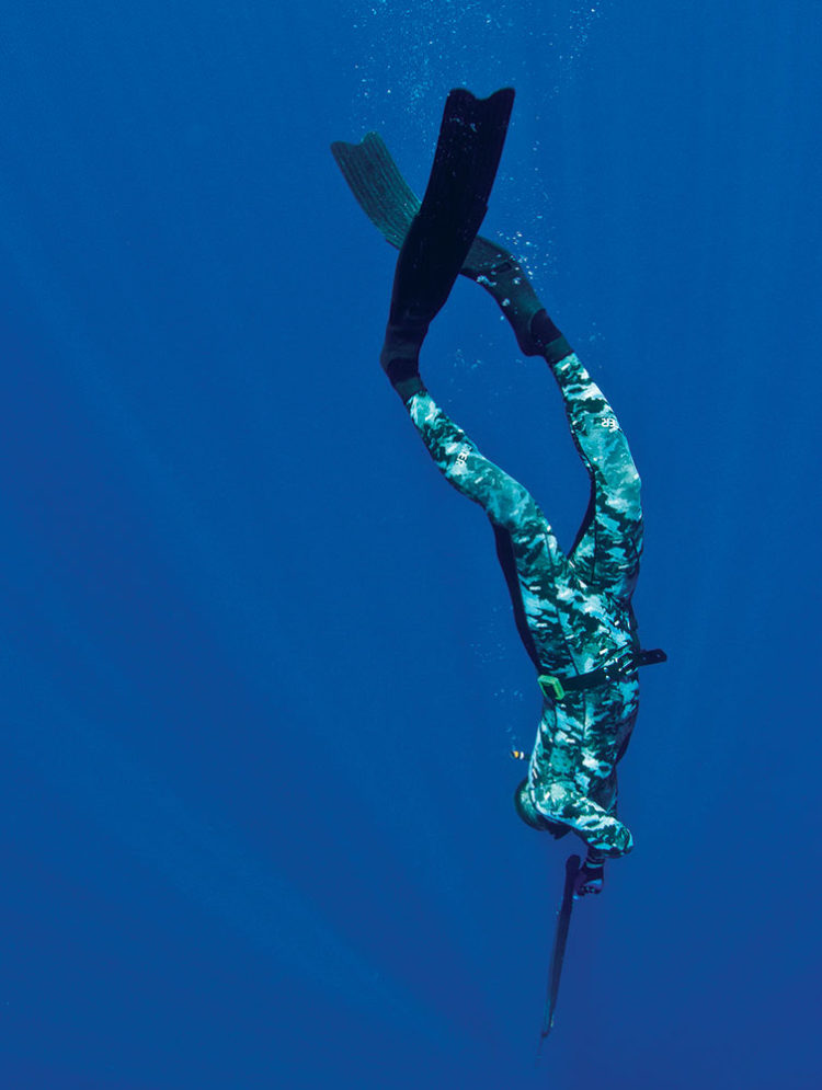 Don't Fear the Spear, Spearfishing Near Tampa Bay- Tampa Magazine
