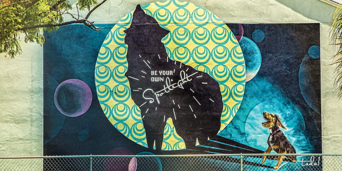 Meaghan Farrell Scalise: Principal, Tada! Traditional and Digital Arts ...