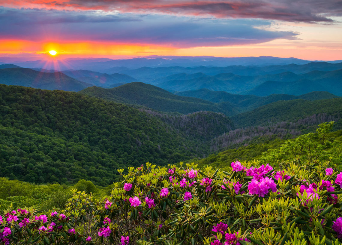 Travel - Tampa Magazine