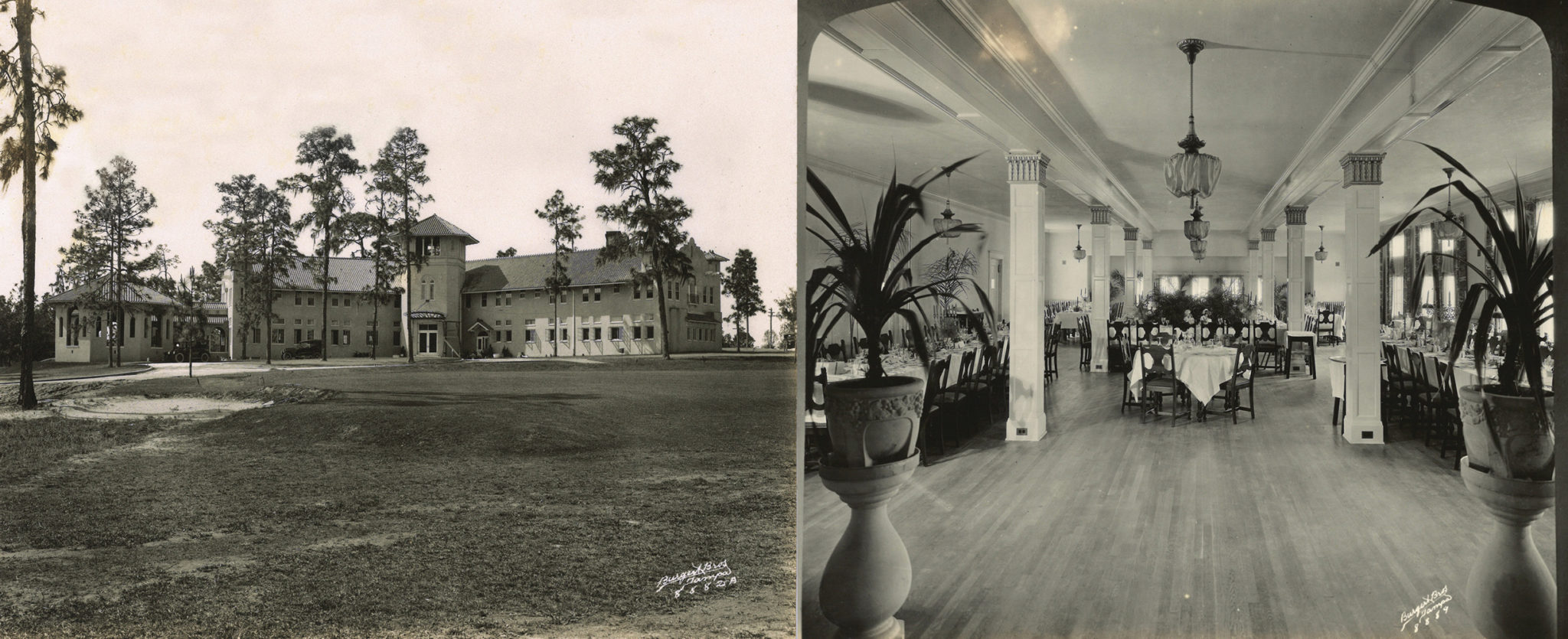 History: Temple Terrace – The City that Grew from 'Temple’ Oranges ...