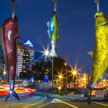 The Enduring Legacy Of The Corvette - Tampa Magazine