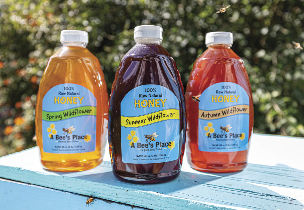 A Bee's Place: Making Honey in St. Petersburg - Tampa Magazine