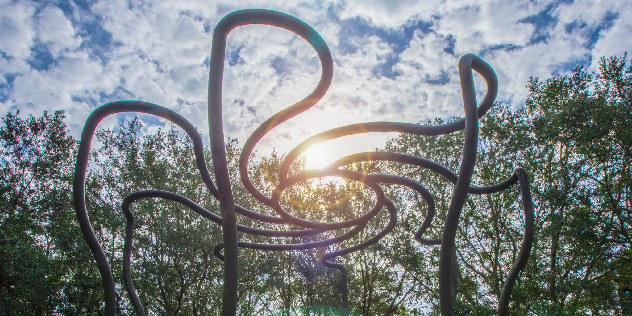 The Gallery: "Solar Rotary" by Nancy Holt - Tampa Magazine