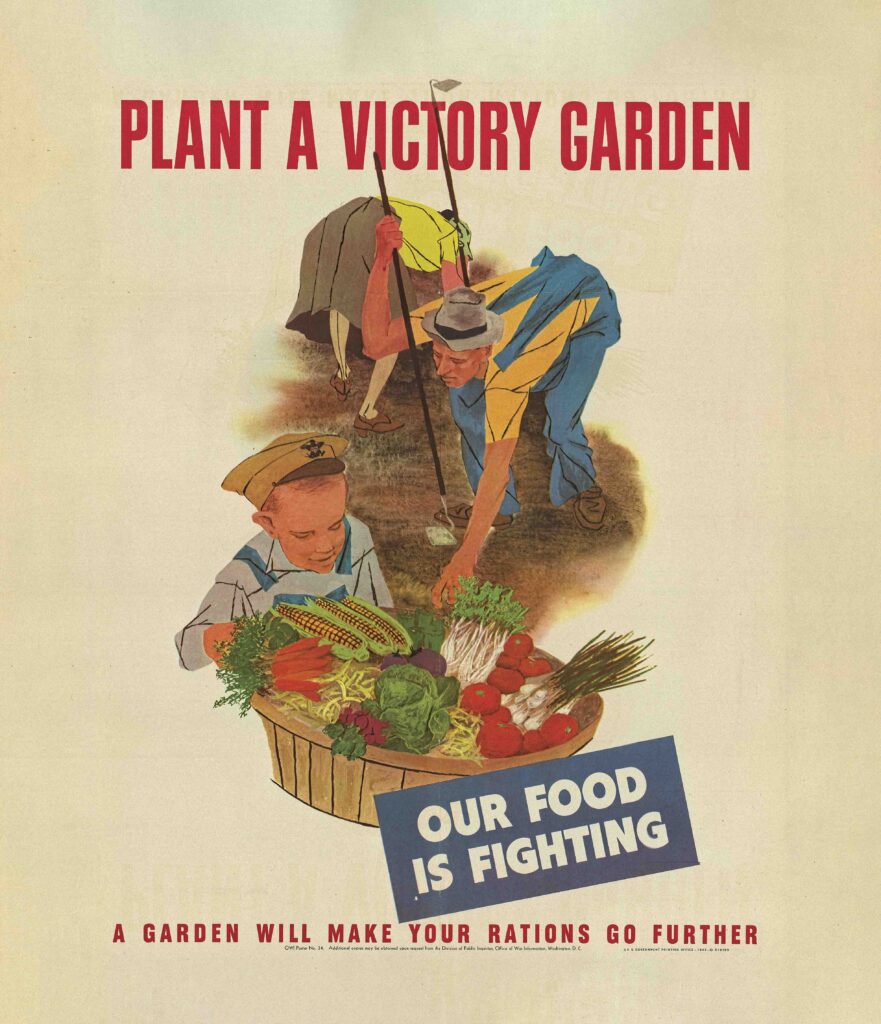 The Modern Revival of Victory Gardens - Tampa Magazine