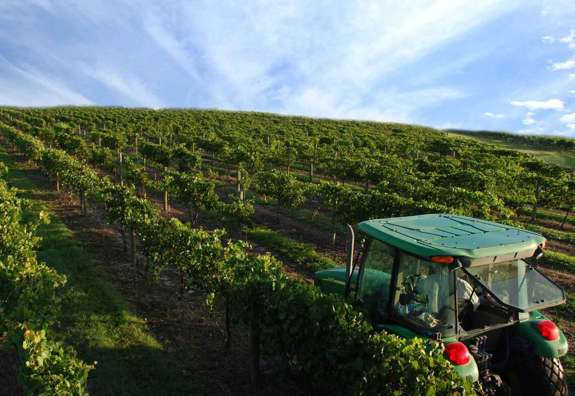 Florida, Uncorked. - Tampa Magazine
