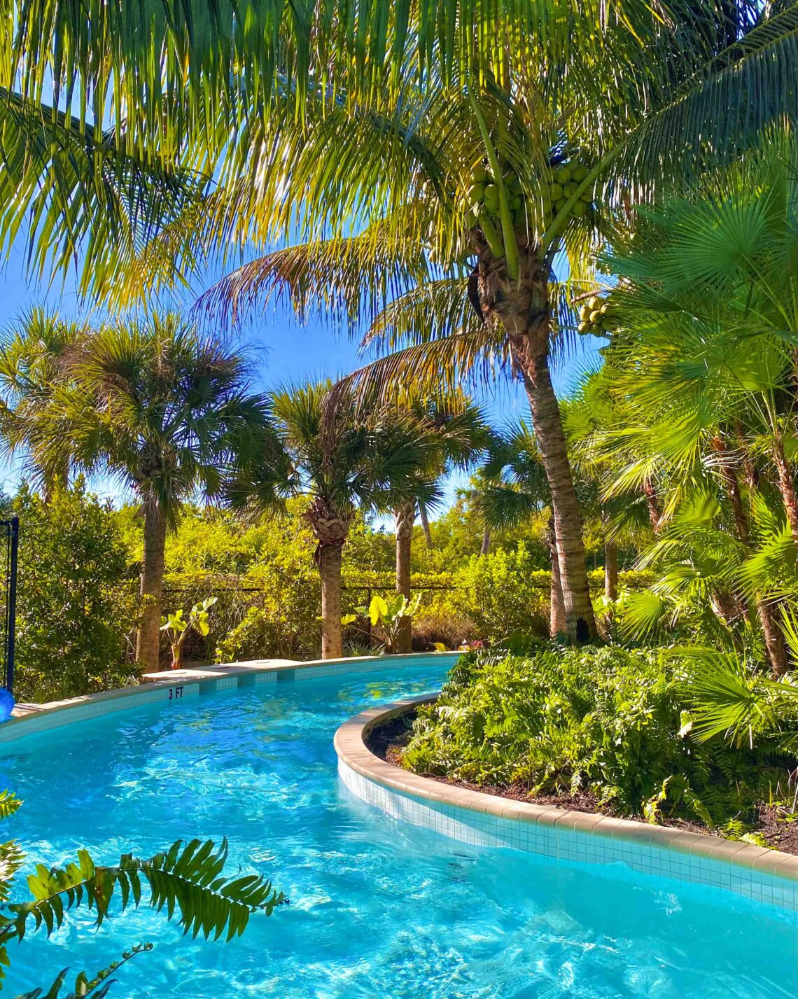 Why Hyatt Regency is the Next Best Getaway - Tampa Magazine