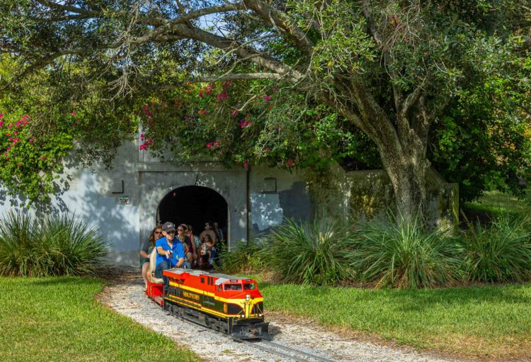 Uncovering Tampa Bay’s Hidden Treasures - Tampa Magazine