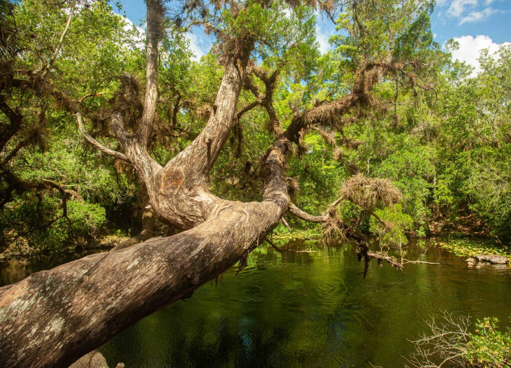 Uncovering Tampa Bay’s Hidden Treasures - Tampa Magazine