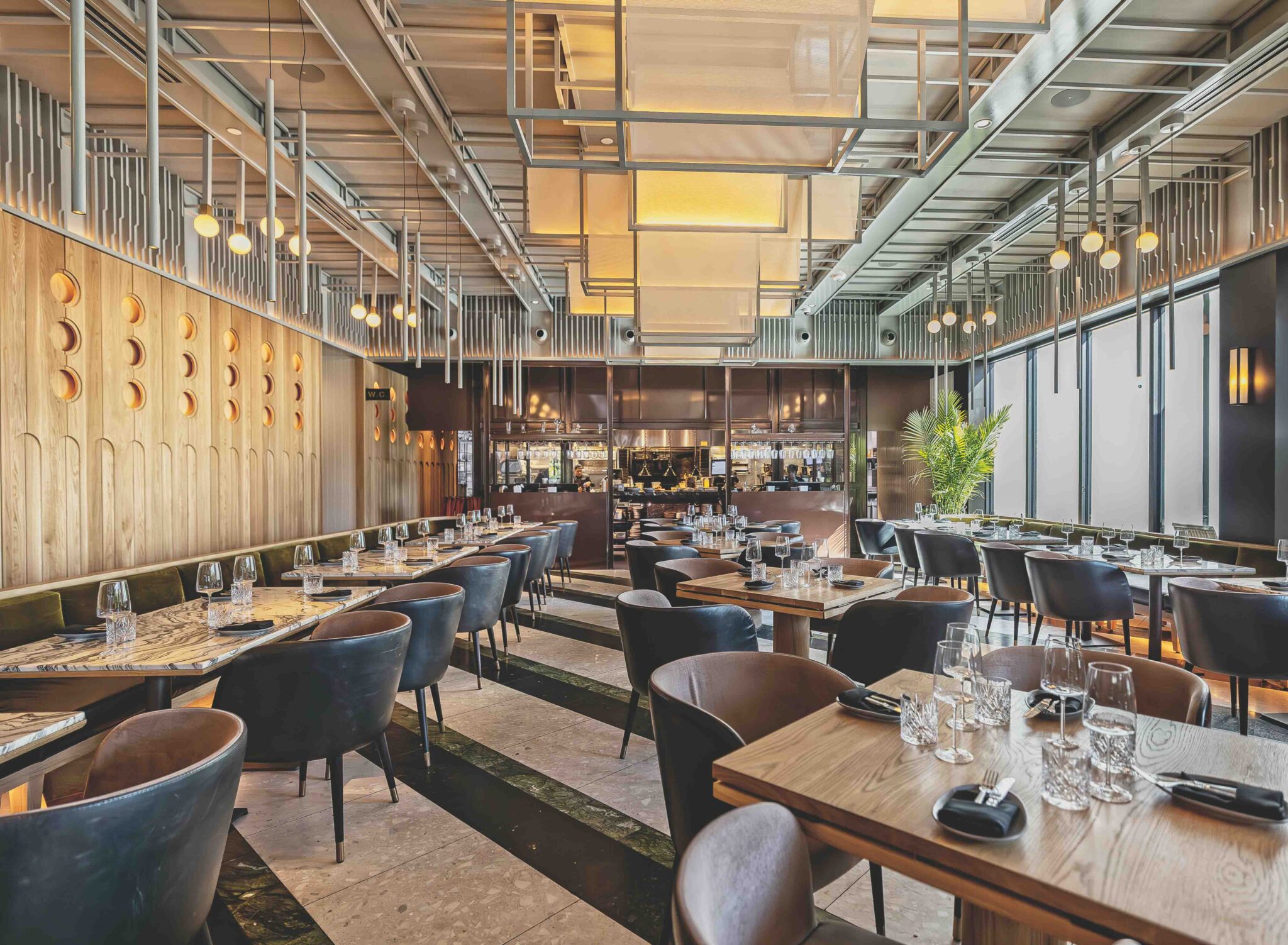 Next Level Brands: Elevating Tampa Bay’s Culinary Landscape - Tampa ...