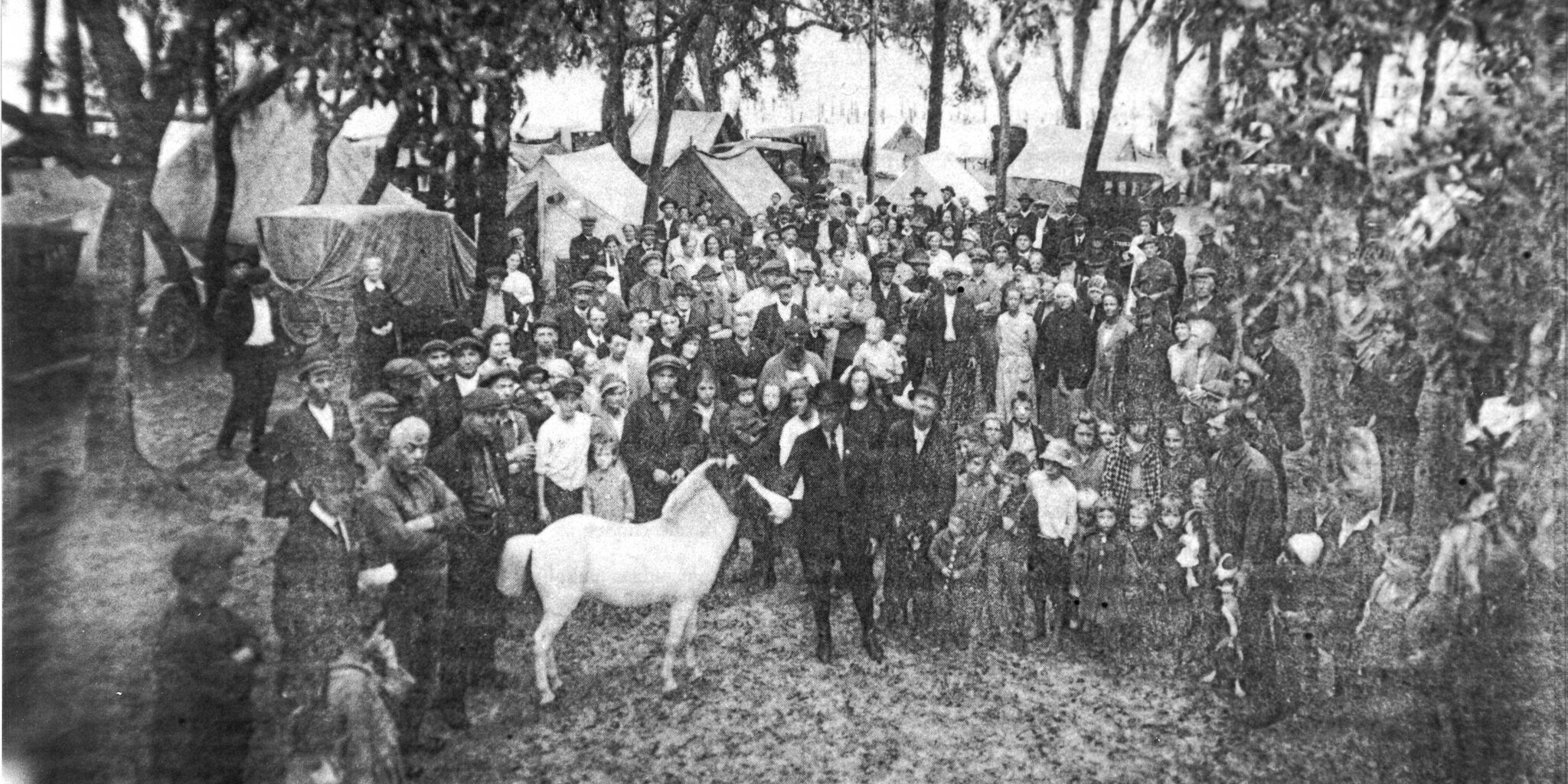 Tin Can Tourists: The Origin of RV Camping in Tampa Bay - Tampa Magazine