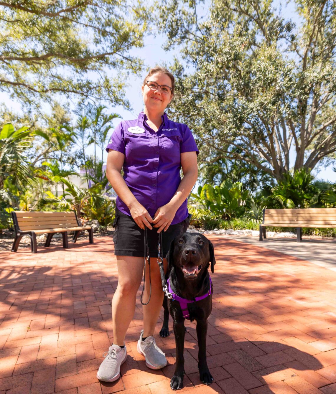 Dogs Inc. - Tampa Magazine